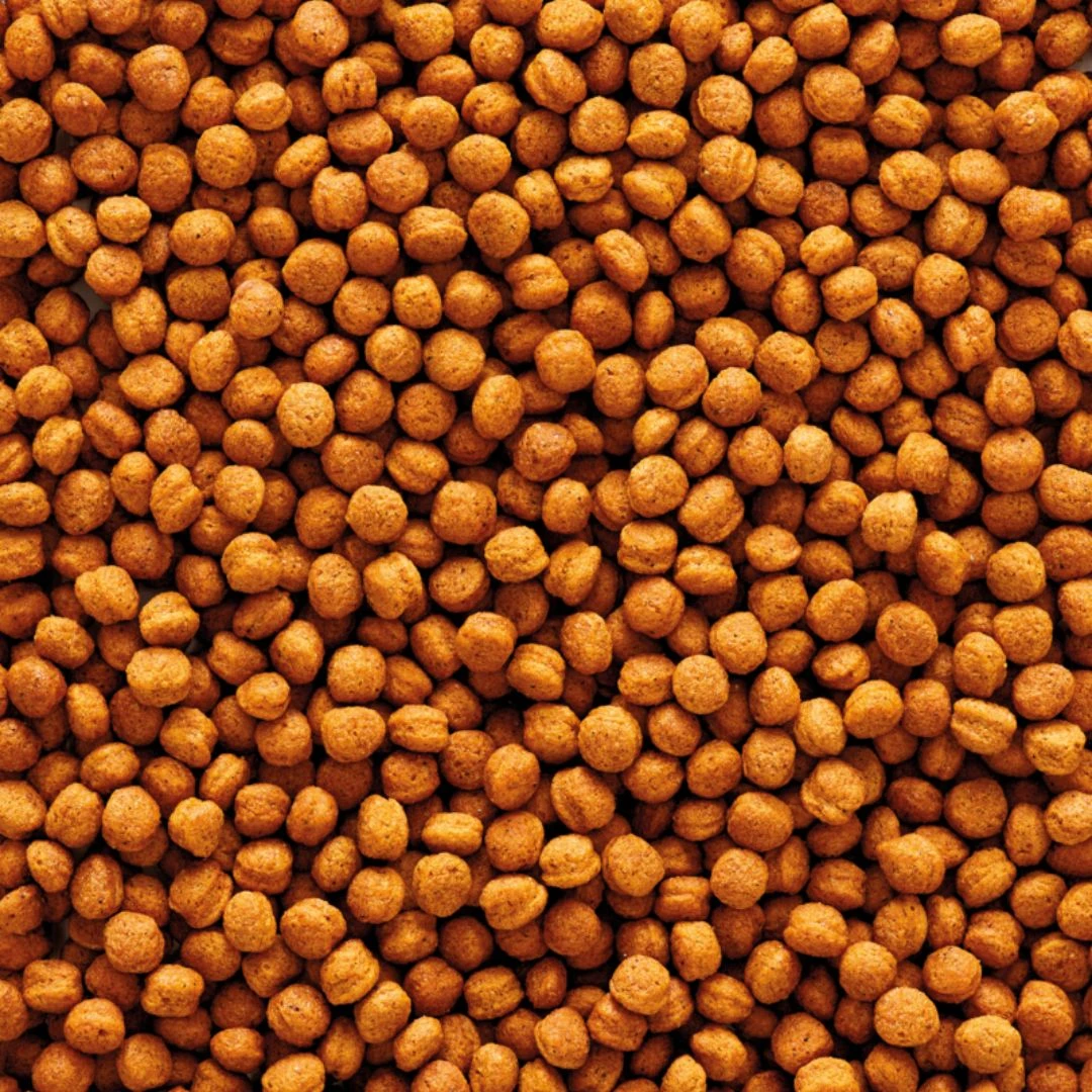 Alimento Completo para Tucanes y Loros frugívoros NutriBird T16 2 Kg ...